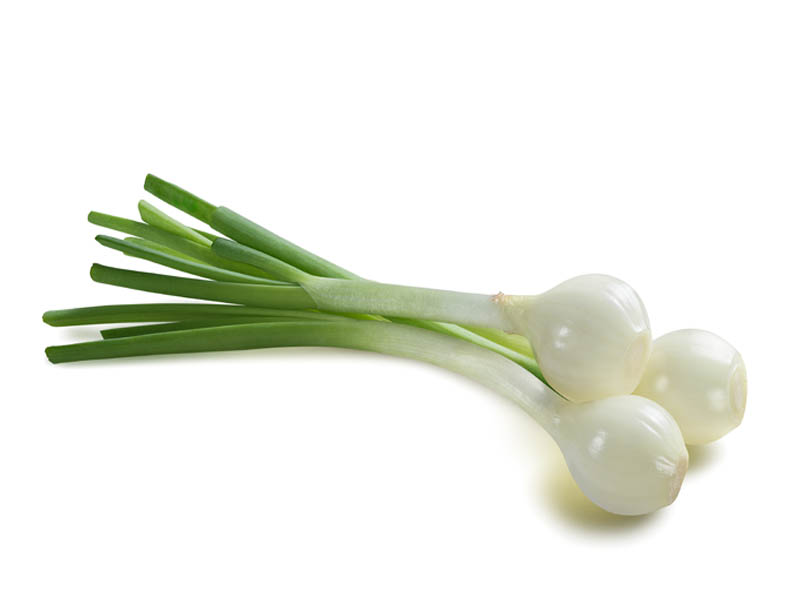 Archives des Ails, Oignons, Echalotes - Siffert